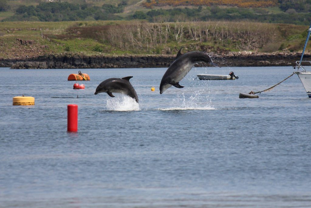 Coastal Connection | Explore Oban
