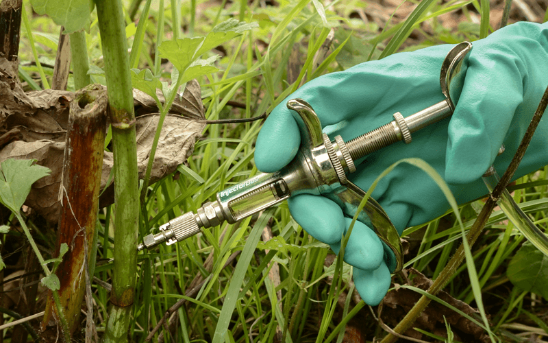 Paradise Garden Services | Explore Oban